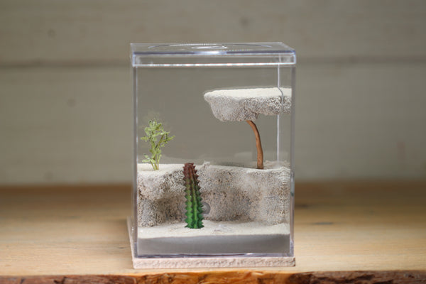 Fortress Formicarium – Tar Heel Ants