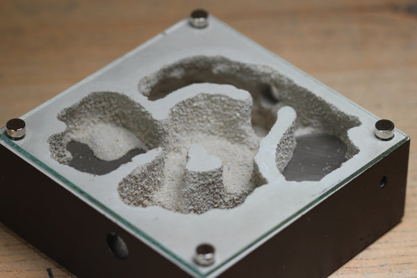 Fortress Formicarium – Tar Heel Ants