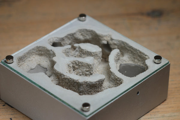 Fortress Formicarium – Tar Heel Ants