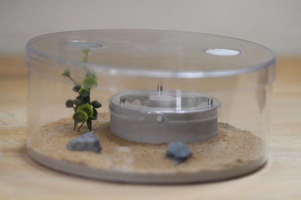 Inception Chamber (Custom 105) – Tar Heel Ants