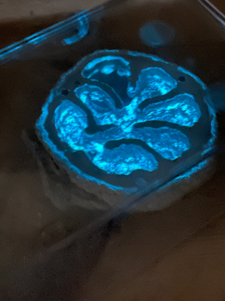 The Aerie (Cyber Monday 108)(5 Inch Nest)(GLOW) – Tar Heel Ants