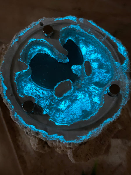 The Aerie (206)(3 Inch Nest)(GLOW) – Tar Heel Ants