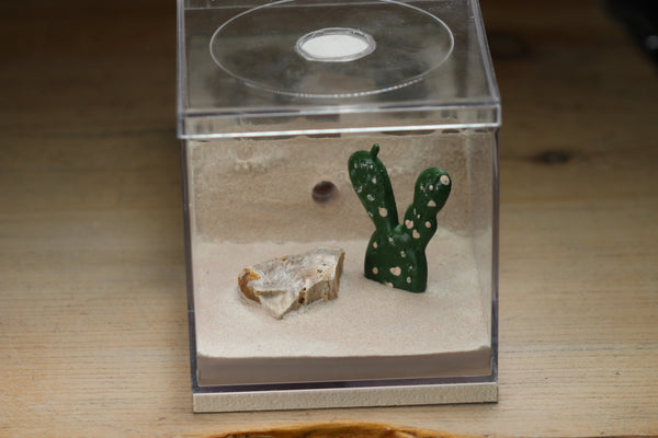 Fortress Formicarium – Tar Heel Ants